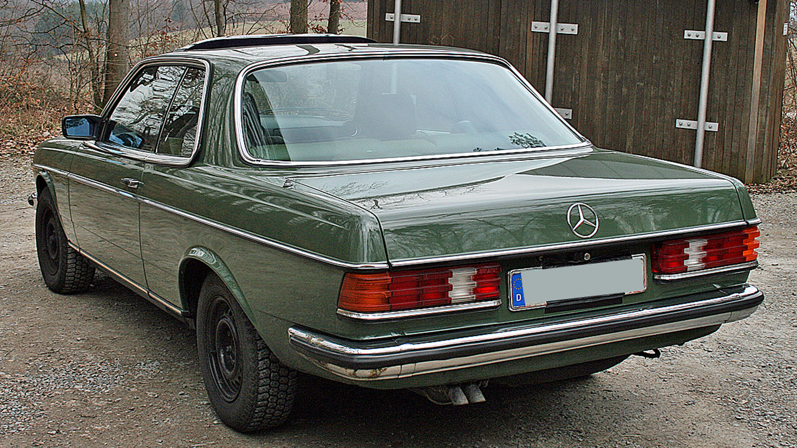 Mercedes W123 Farben: DB870 Nickelgrün - Sternwarter