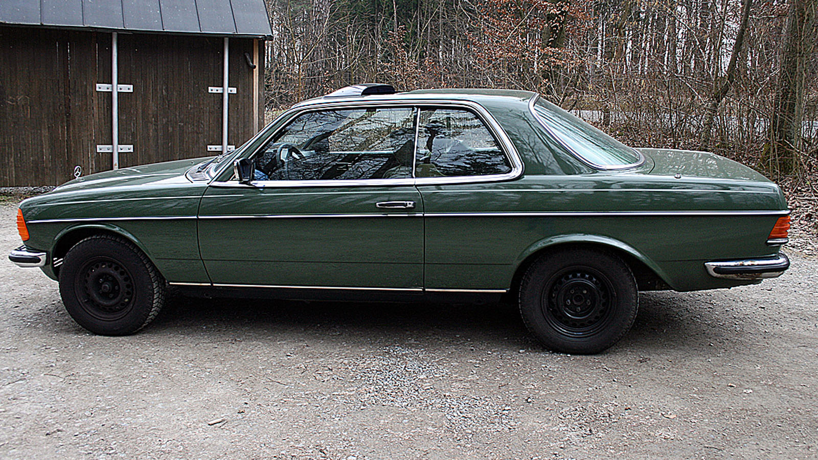 Mercedes W123 Farben: DB870 Nickelgrün - Sternwarter